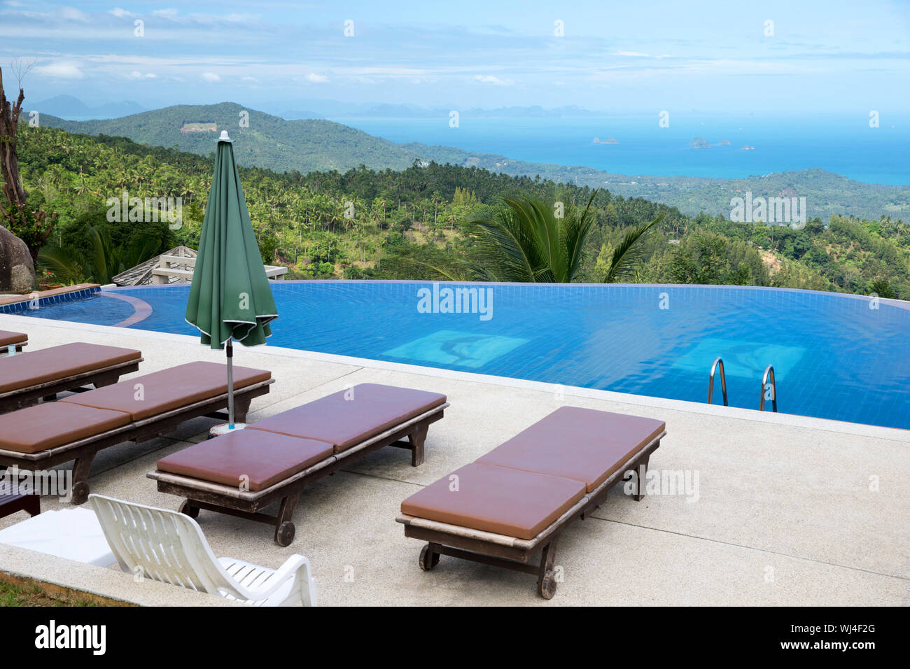 tropical swimming pool with coconut tree Stock Photo - Alamy