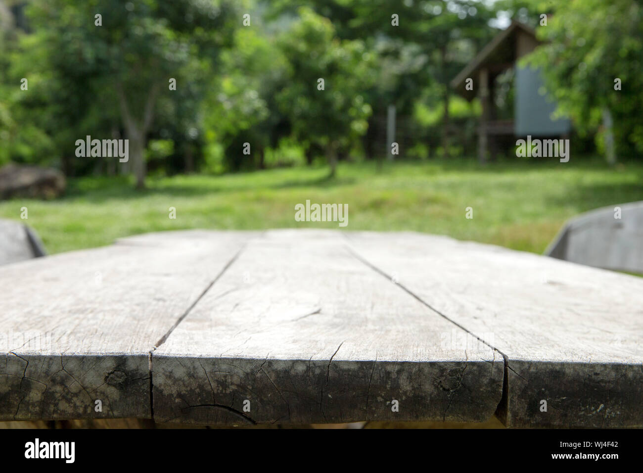 empty table in garden Stock Photo - Alamy
