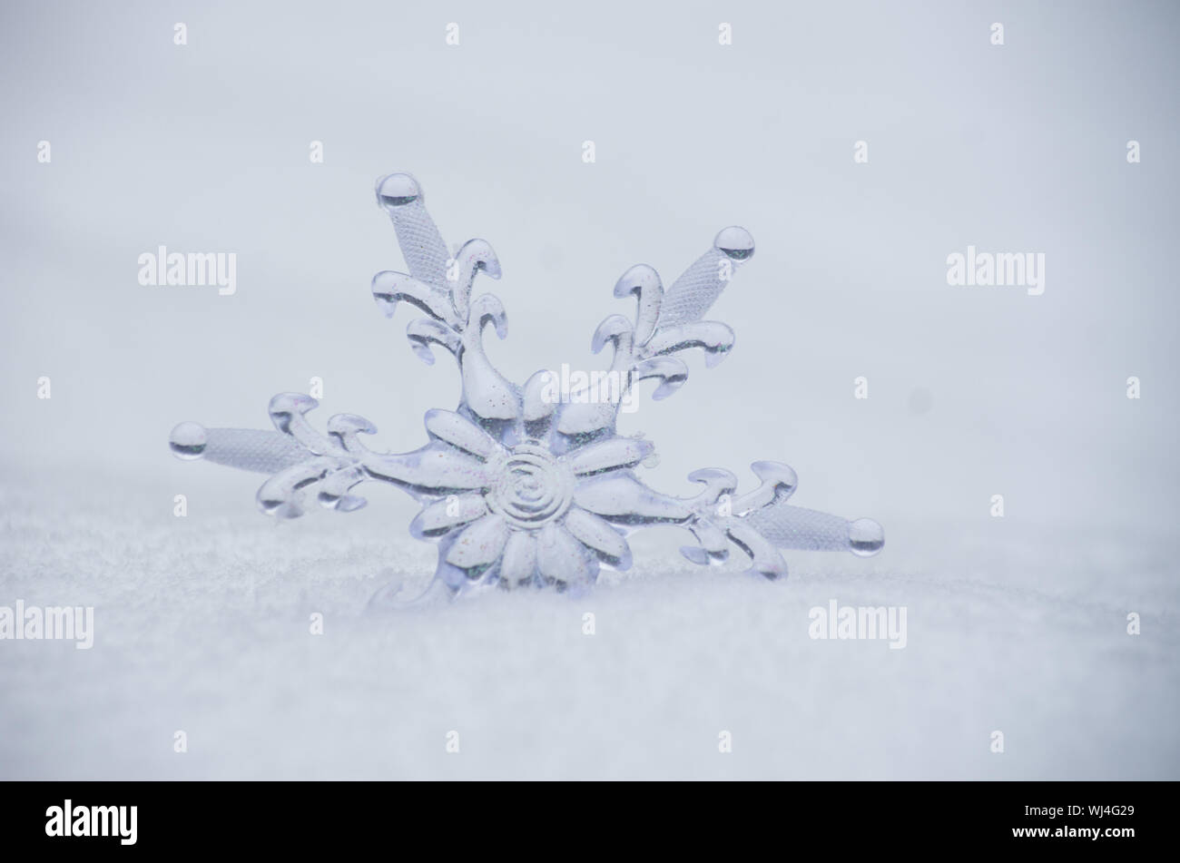 Snowflake in a white snow Stock Photo - Alamy