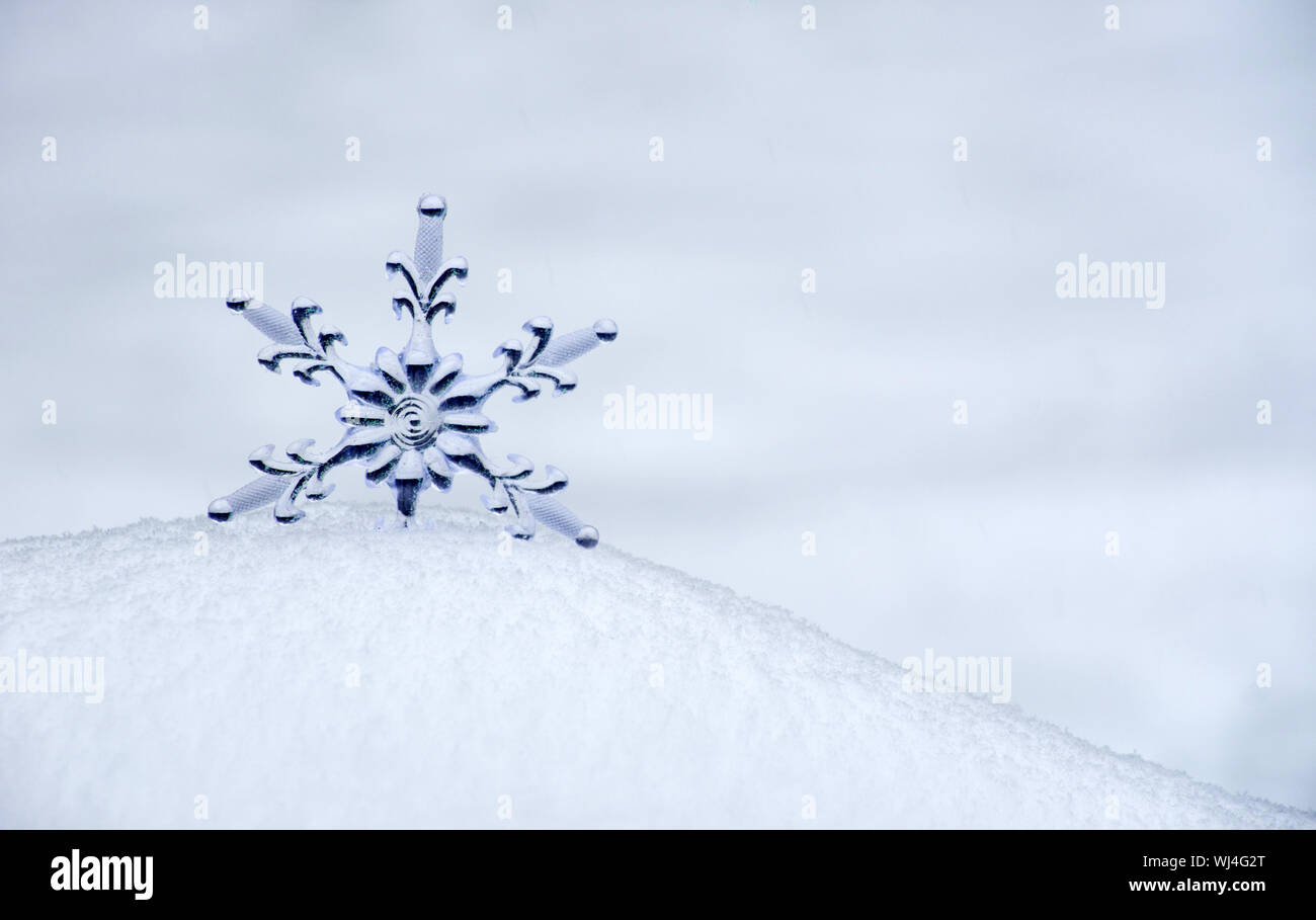 Snowflake in a white snow Stock Photo - Alamy
