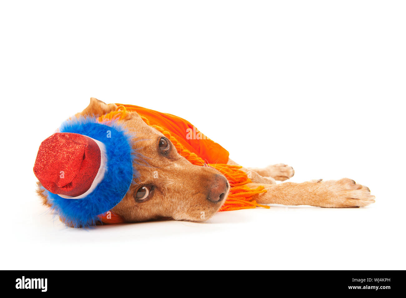 Dutch fan Cut Out Stock Images & Pictures - Alamy