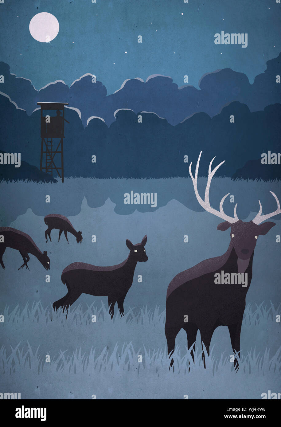 Deer grazing in field on full moon night Stock Photo - Alamy