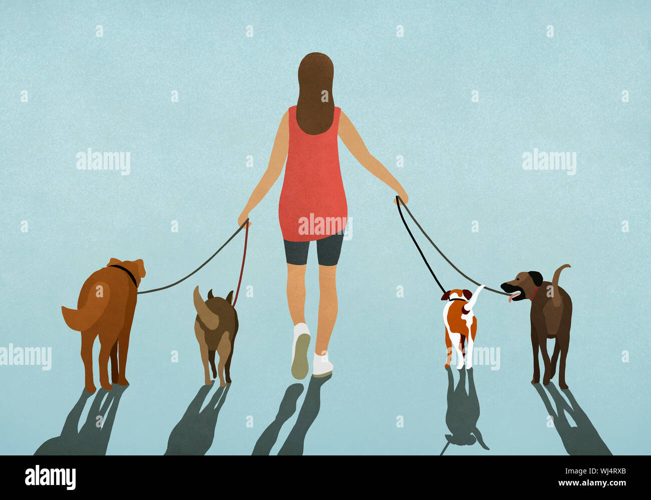 Four animals hi-res stock photography and images - Alamy