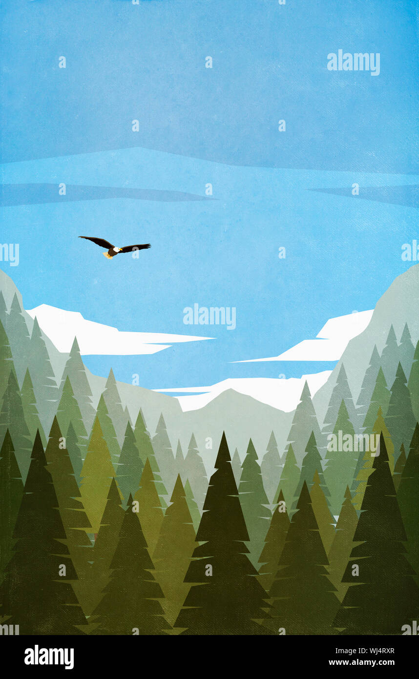 Bald eagle flying over treetops Stock Photo - Alamy