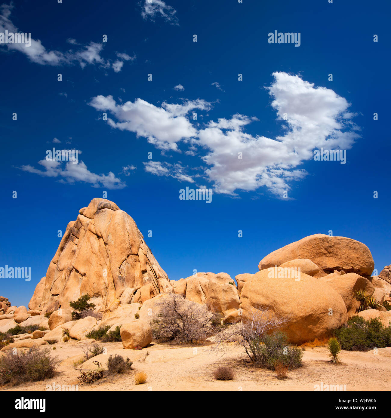 Joshua Tree National Park Intersection rock in Mohave desert California ...
