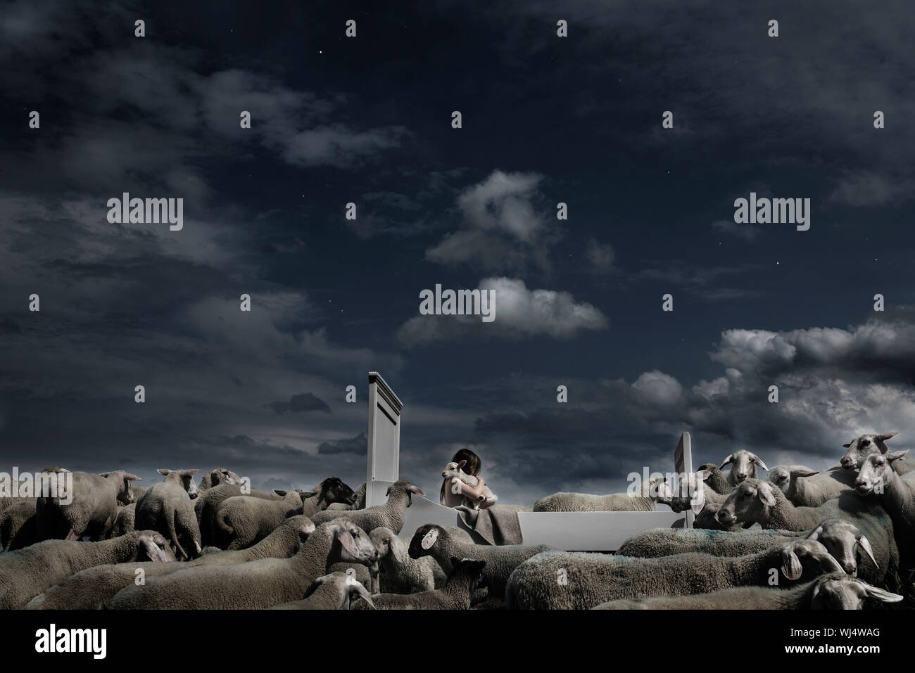 Girl surrounded by sheep hugging lamb on bed in rural field Stock Photo ...