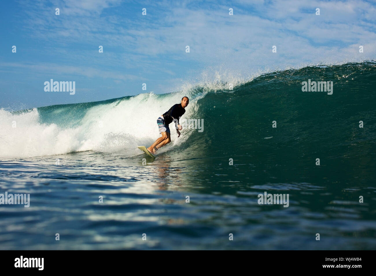 Male surfer riding ocean wave Stock Photo - Alamy
