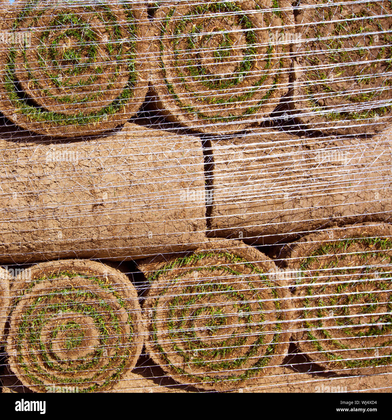 Rows of turf hi-res stock photography and images - Alamy
