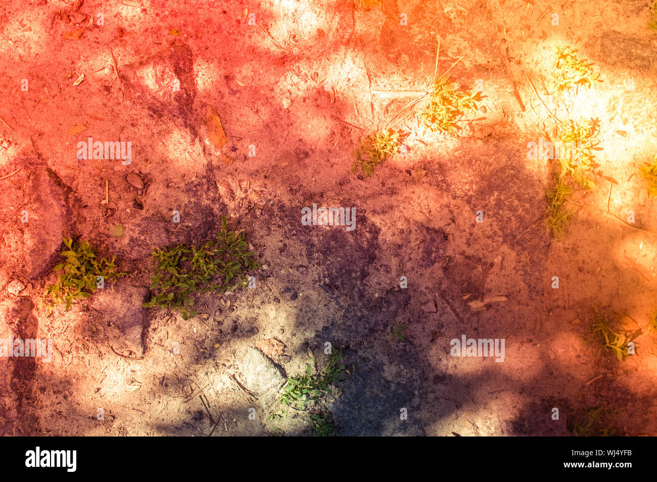 Sunlight gradient hi-res stock photography and images - Alamy