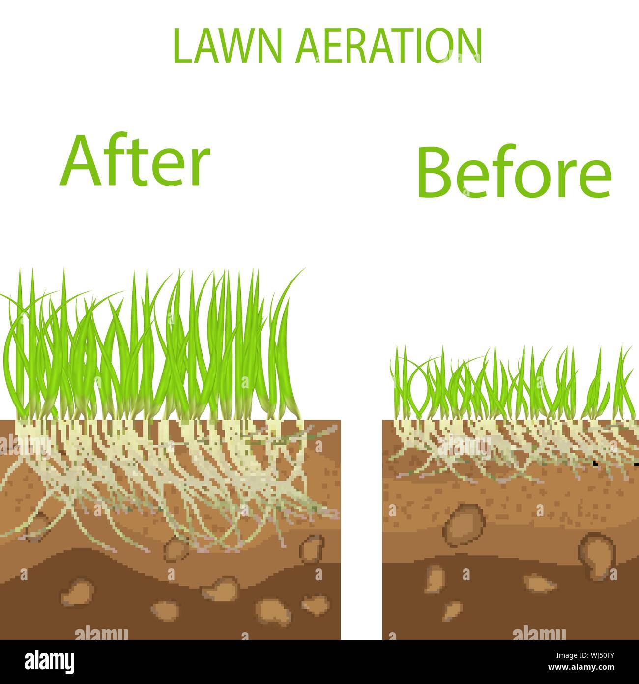 Lawn stage aeration illustration. Gardening of lawns, landscape design ...