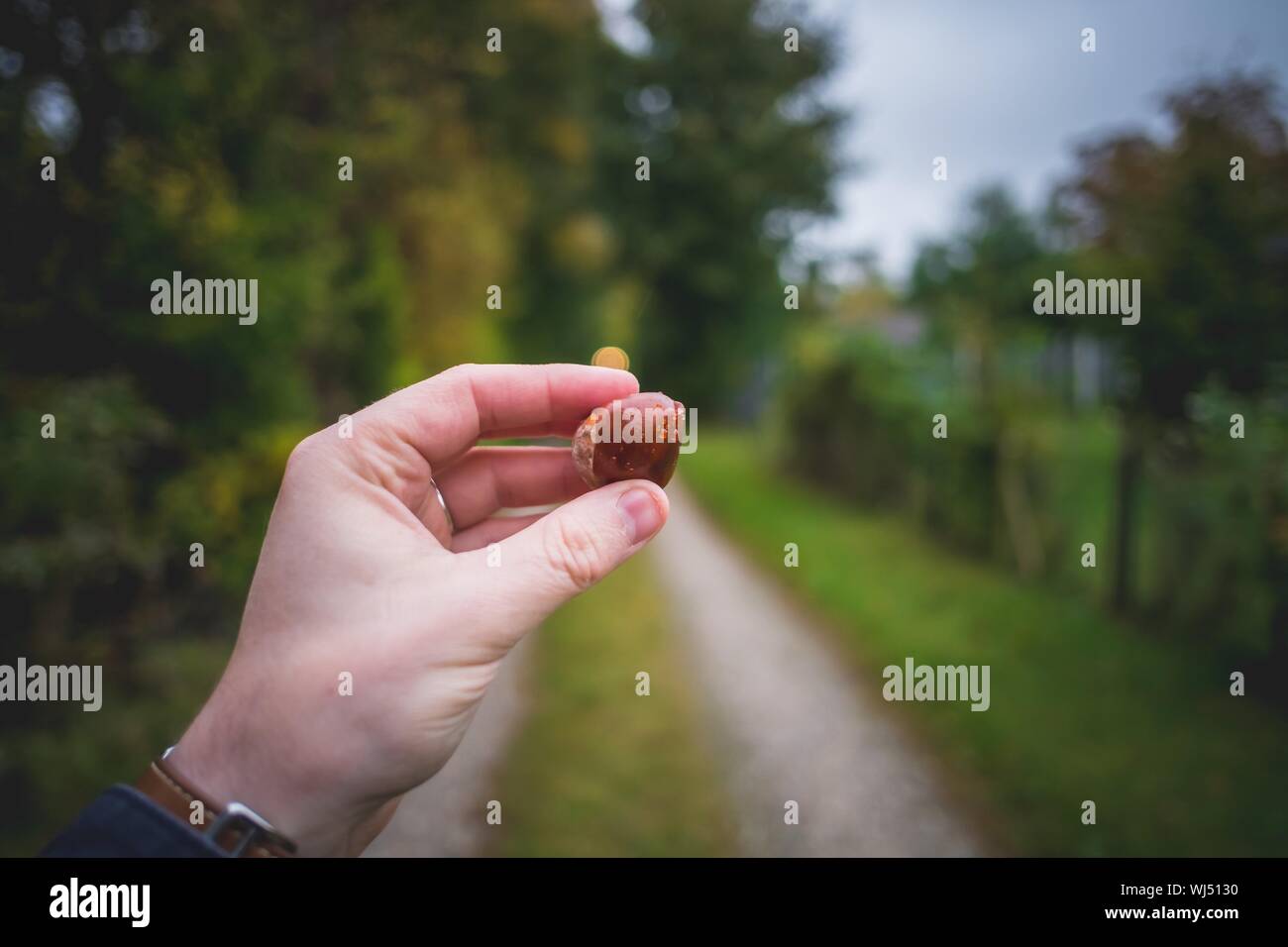 Man nut one hi-res stock photography and images - Alamy