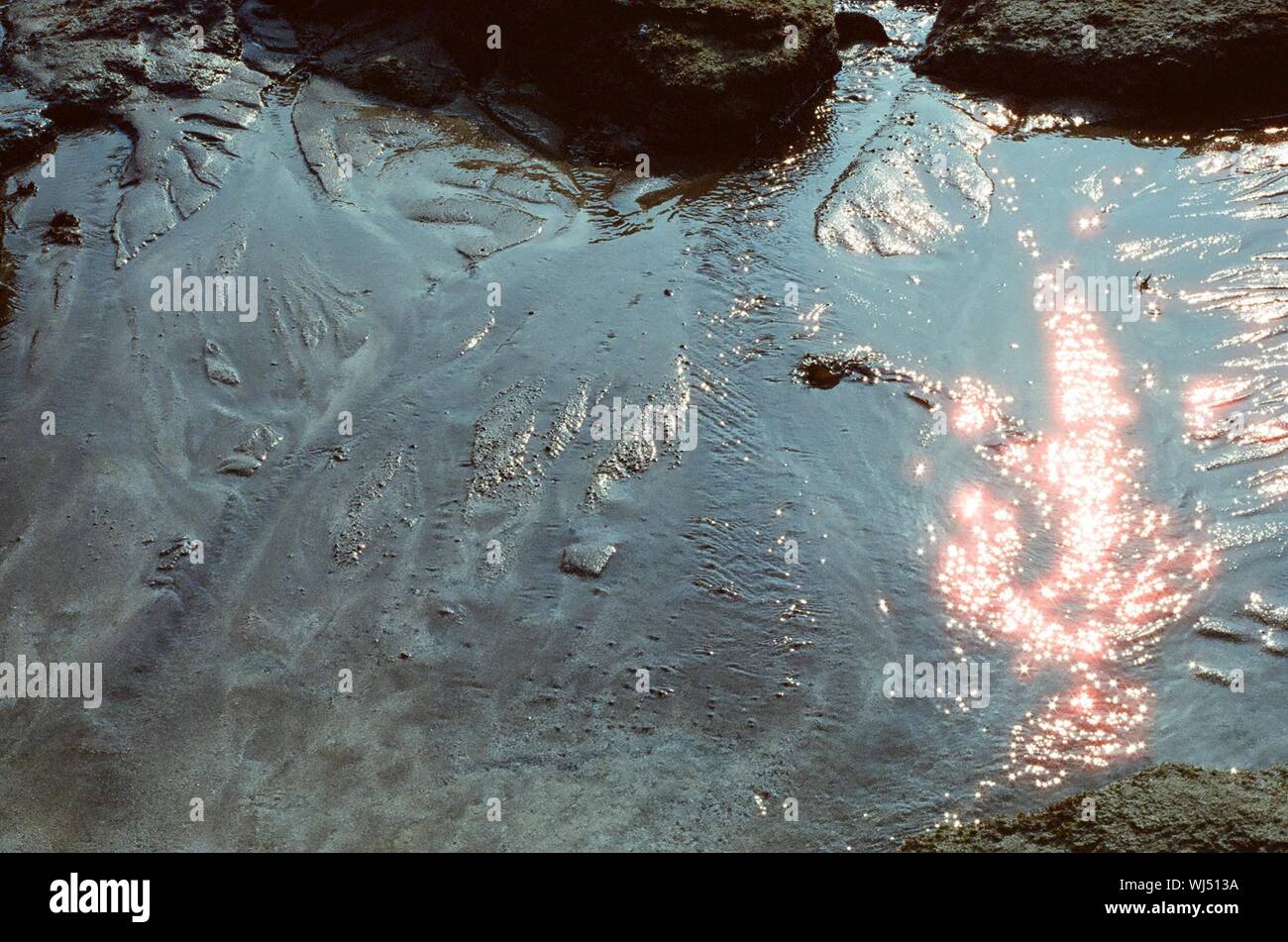 Reflection in wet rock hi-res stock photography and images - Alamy
