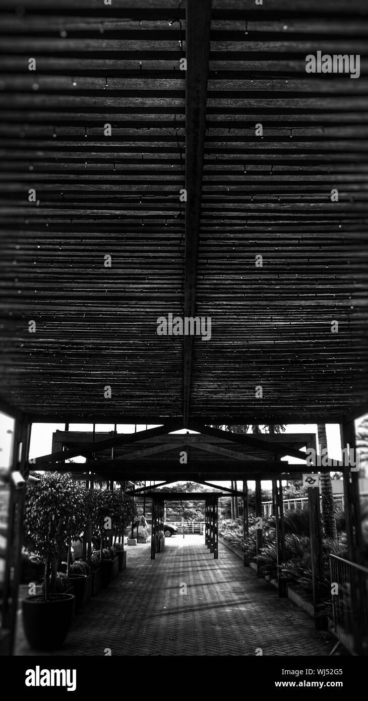 Long plant pot hi-res stock photography and images - Alamy