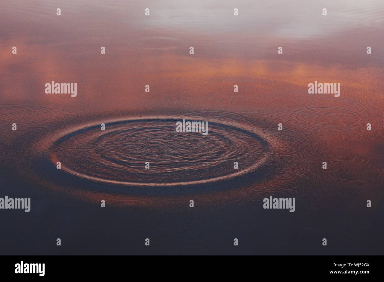 Water ripple circular hi-res stock photography and images - Alamy