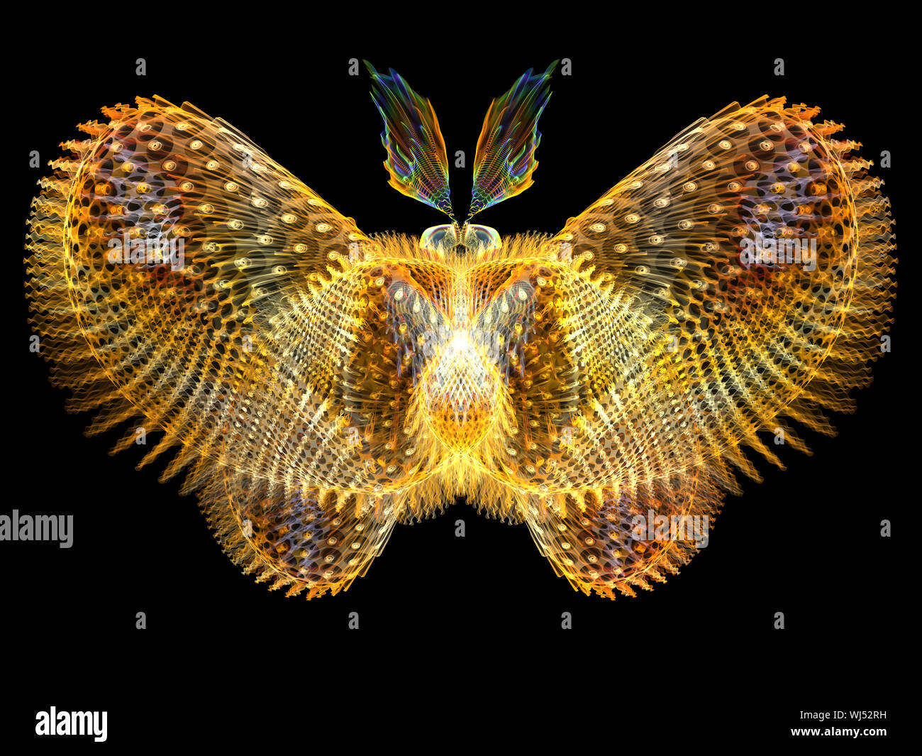 Never Were Butterflies series. Background design of isolated butterfly ...