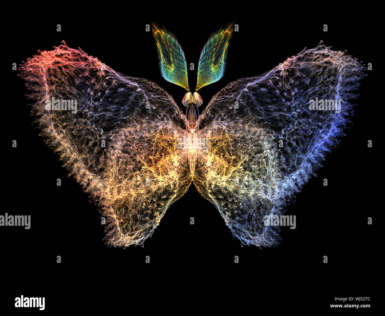 Never Were Butterflies series. Creative arrangement of isolated ...