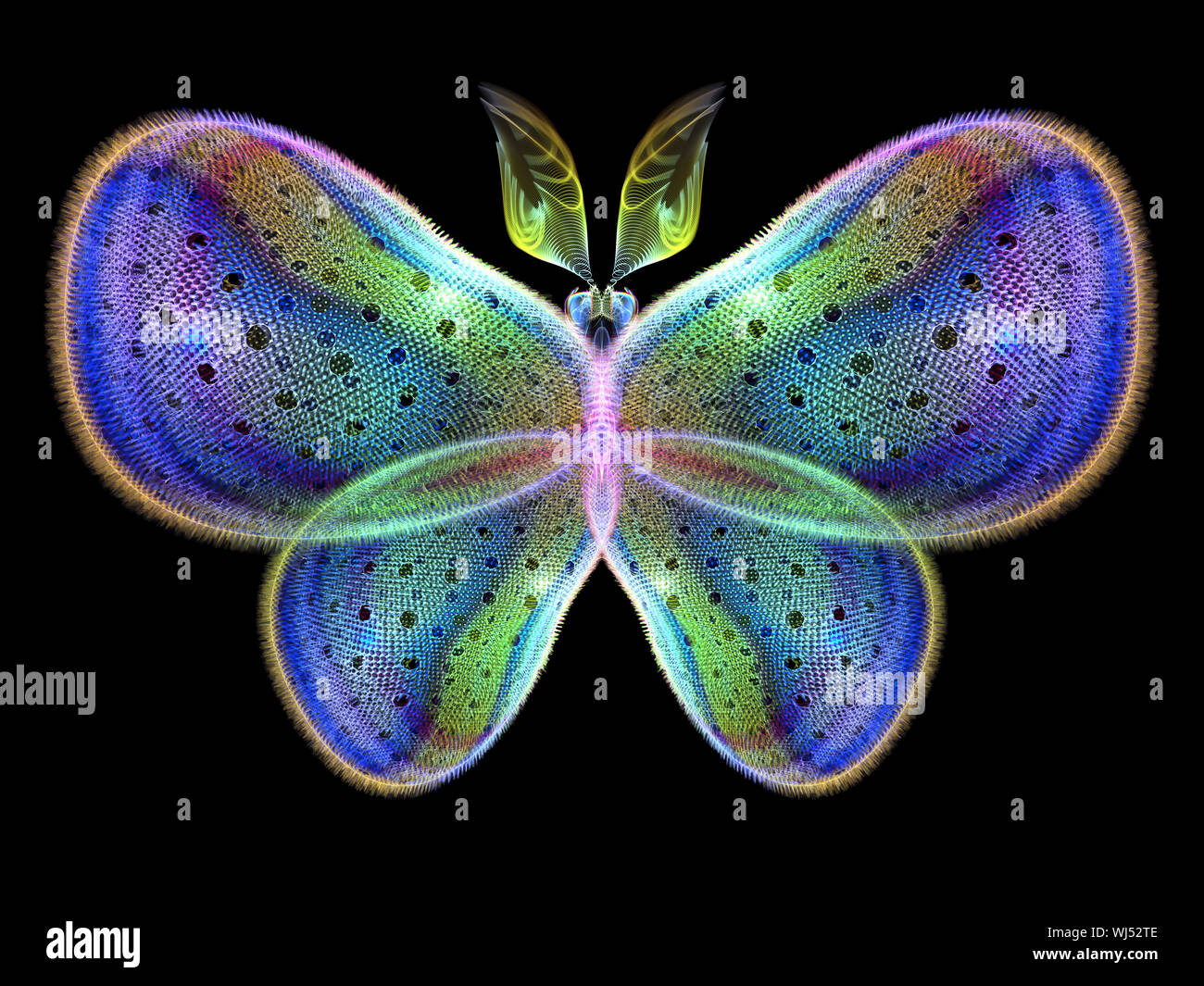 Never Were Butterflies series. Visually pleasing composition of ...
