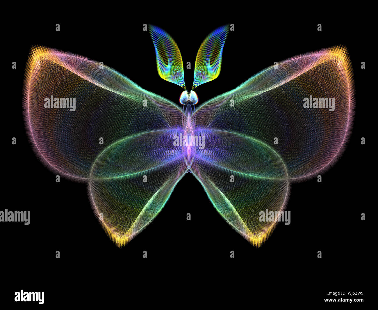 Never Were Butterflies series. Arrangement of isolated butterfly ...
