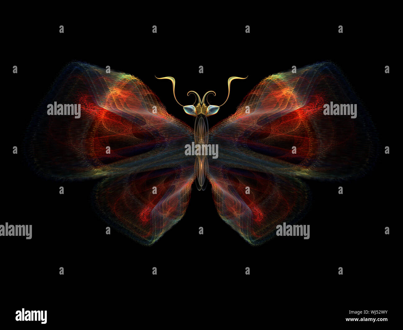 Never Were Butterflies series. Arrangement of isolated butterfly ...