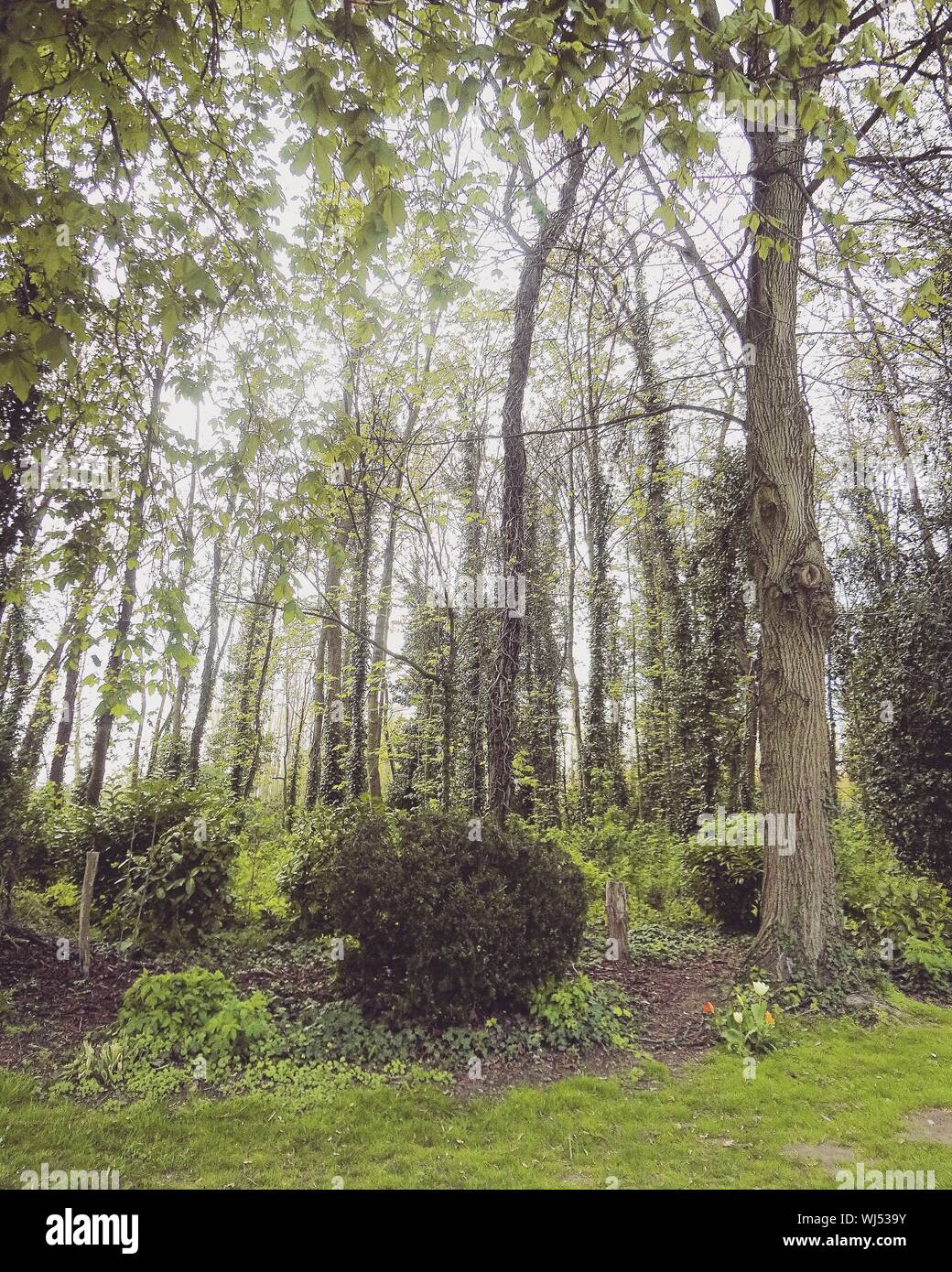 Edge of grass hi-res stock photography and images - Alamy