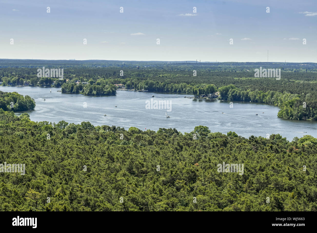 Trees, tree, trees, Berlin, biotope, Dahme, Dahmesee, Dahme lake ...
