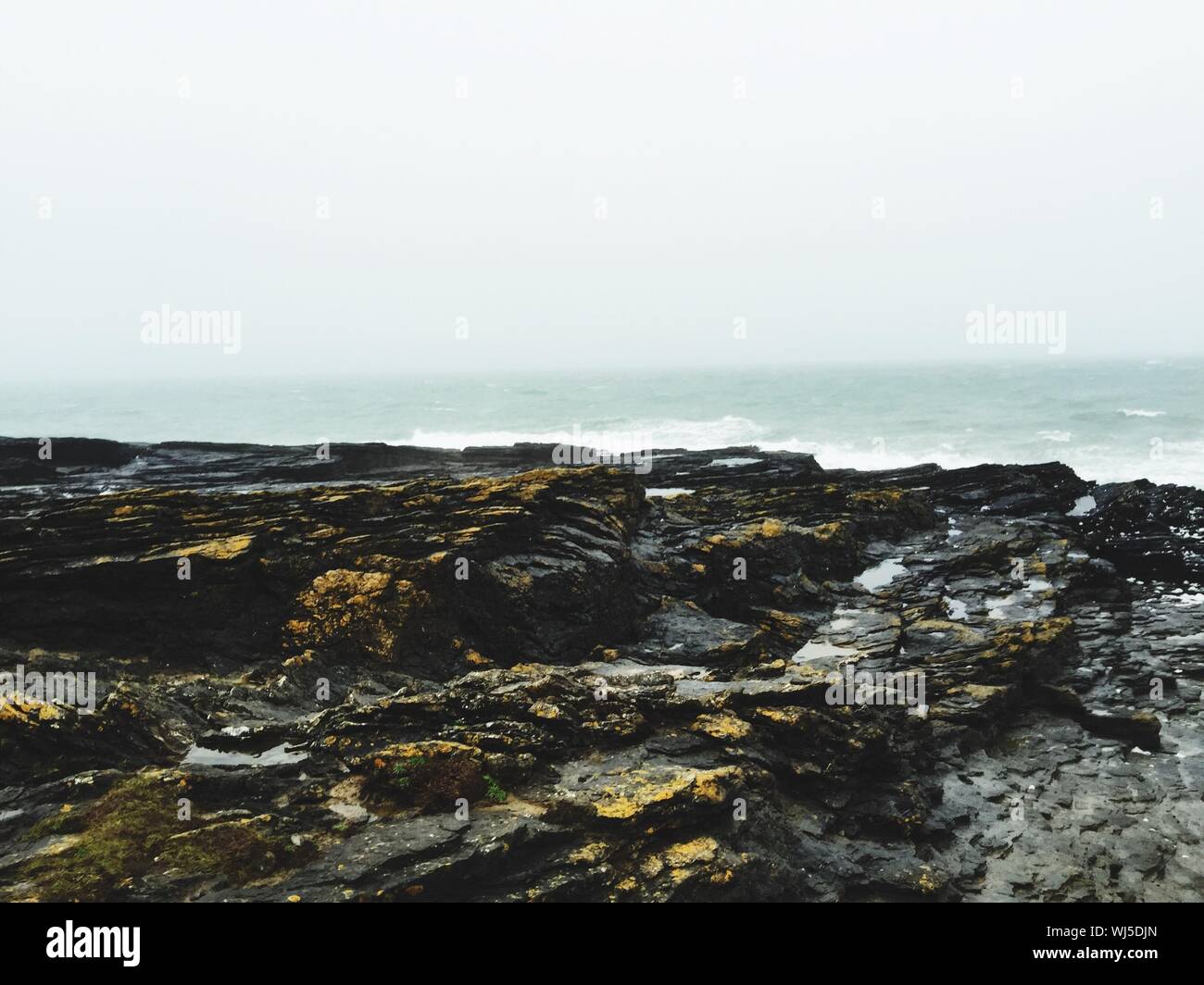 Field and beach hi-res stock photography and images - Alamy
