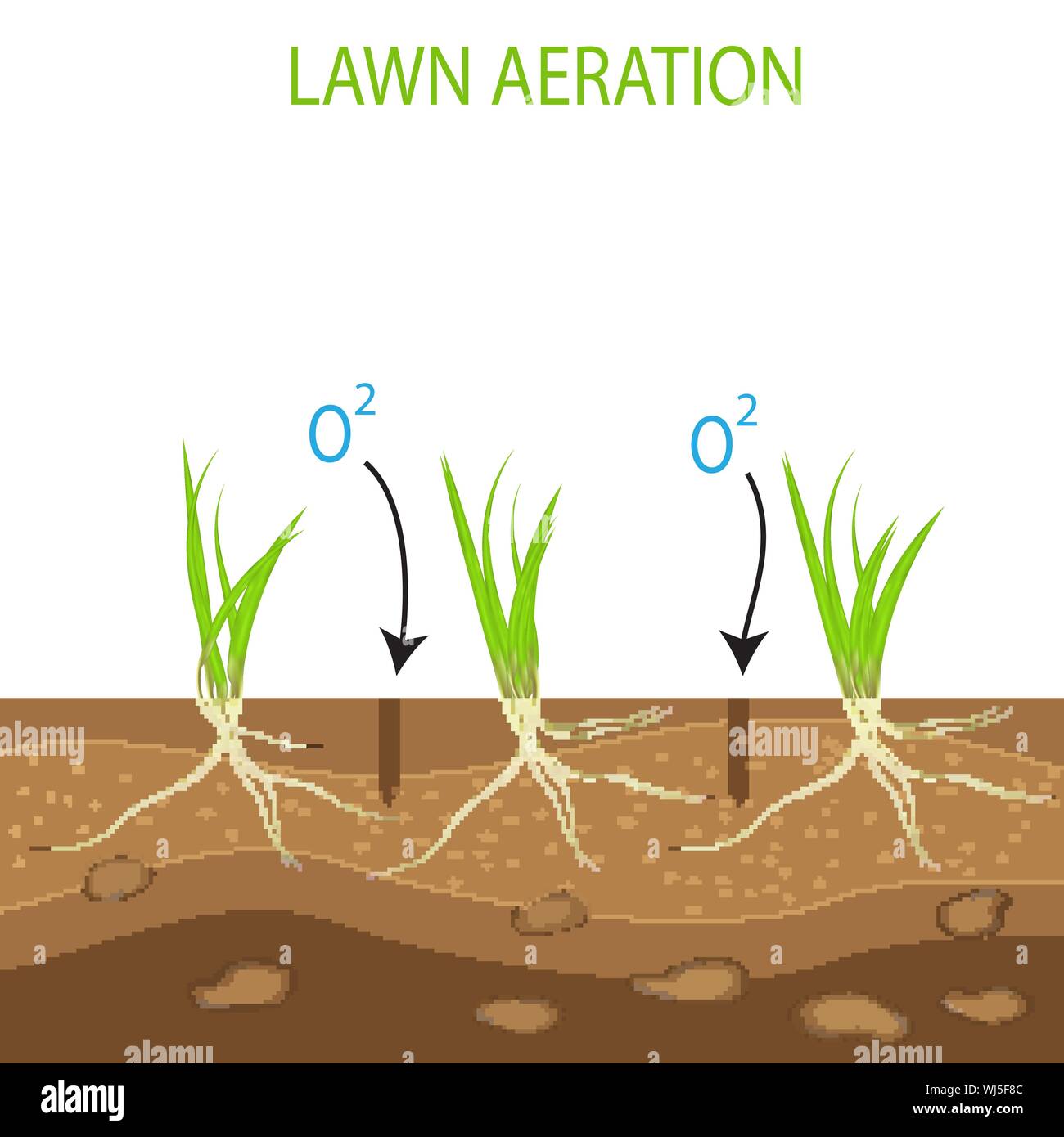 Gardening of lawns, landscape design services. Vector on white ...