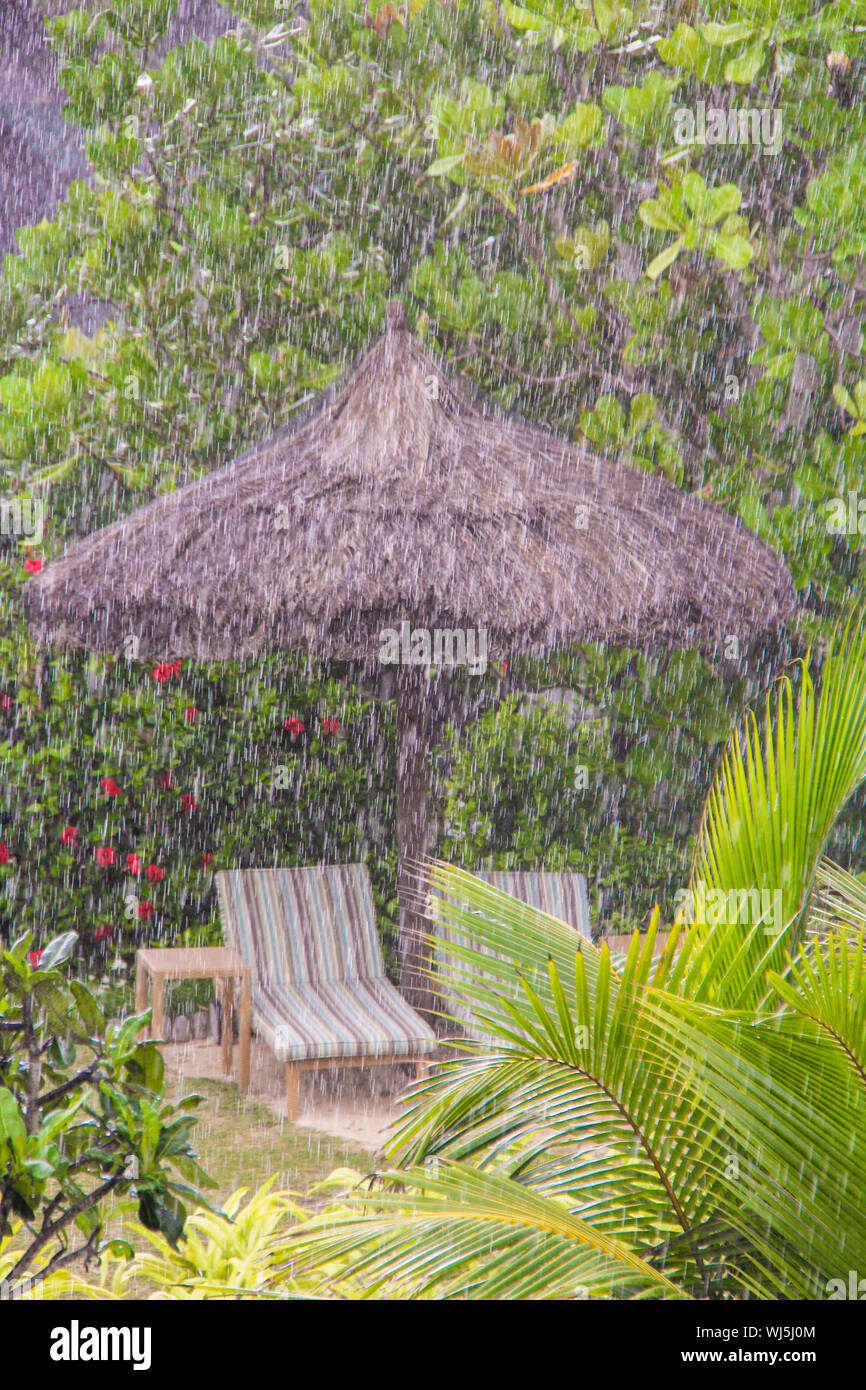 Strong tropical rain in the Seychelles Stock Photo - Alamy