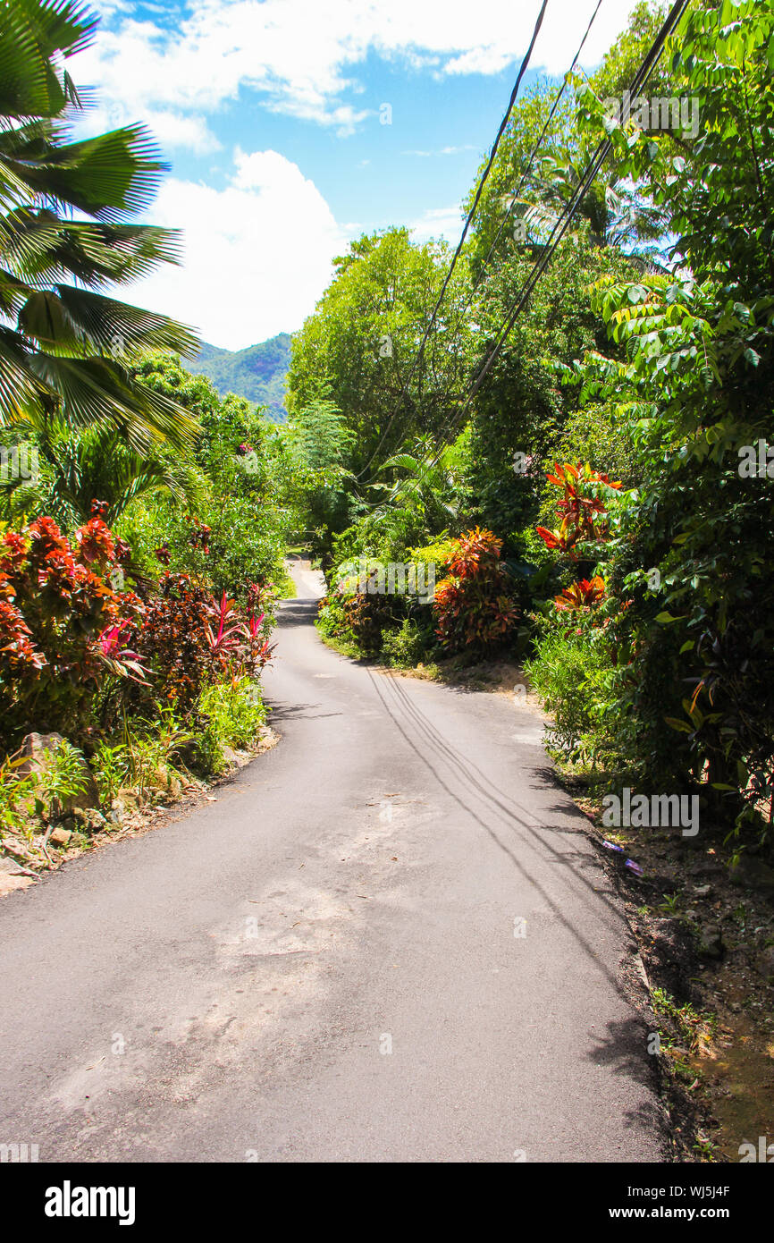 Road to the turquoise ocean and beach in the Seychelles Stock Photo - Alamy