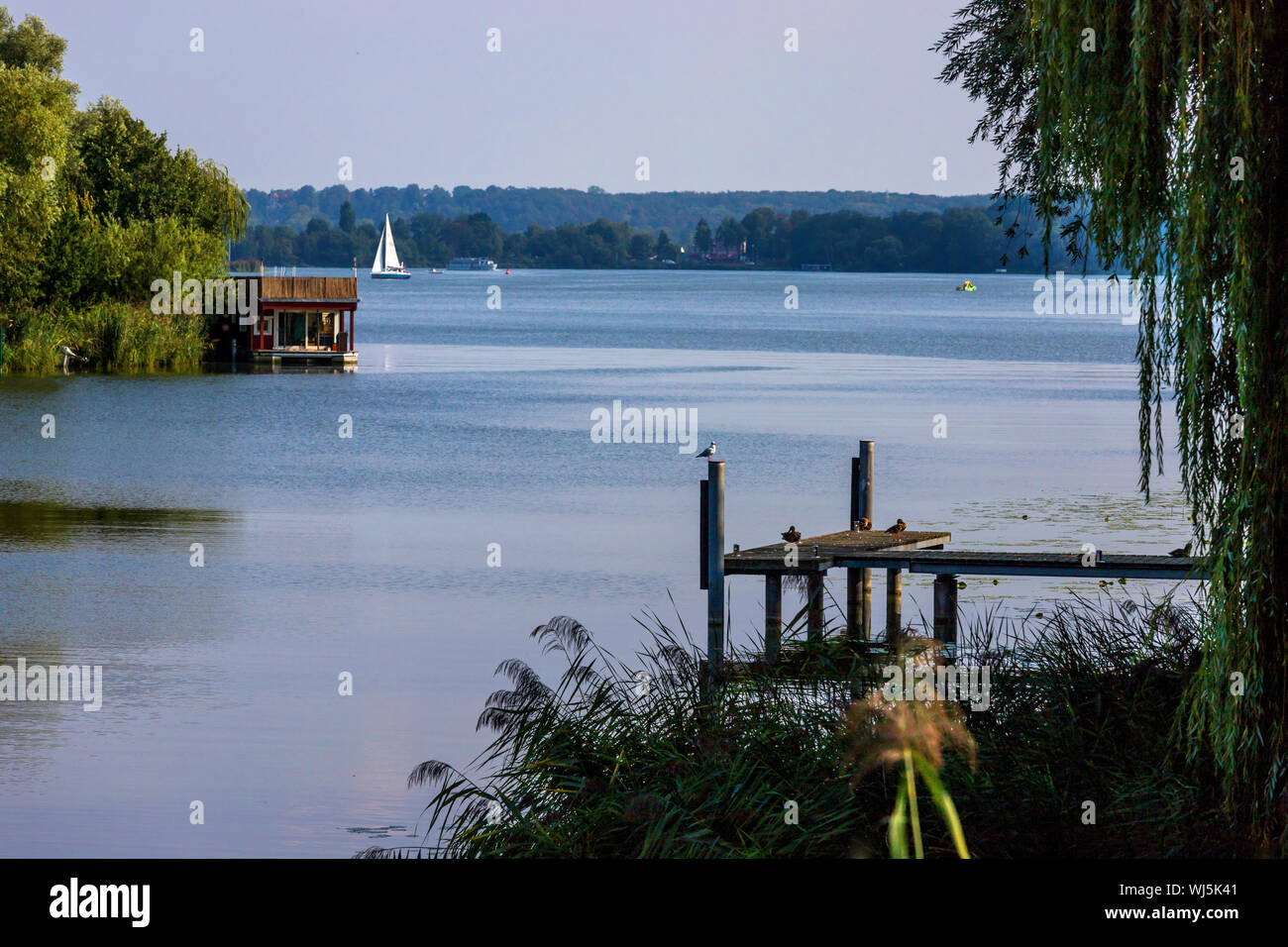 Havel lake hi-res stock photography and images - Alamy