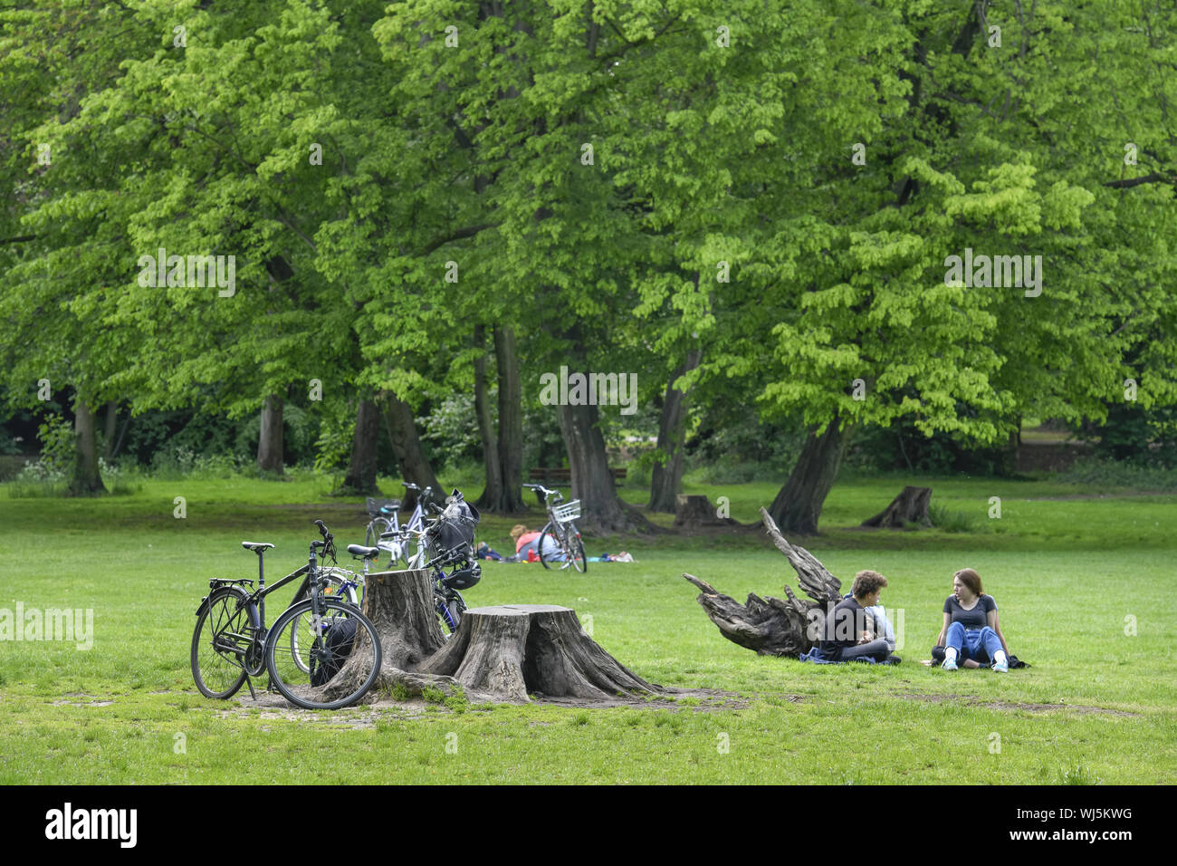 Green arrangement hi-res stock photography and images - Alamy