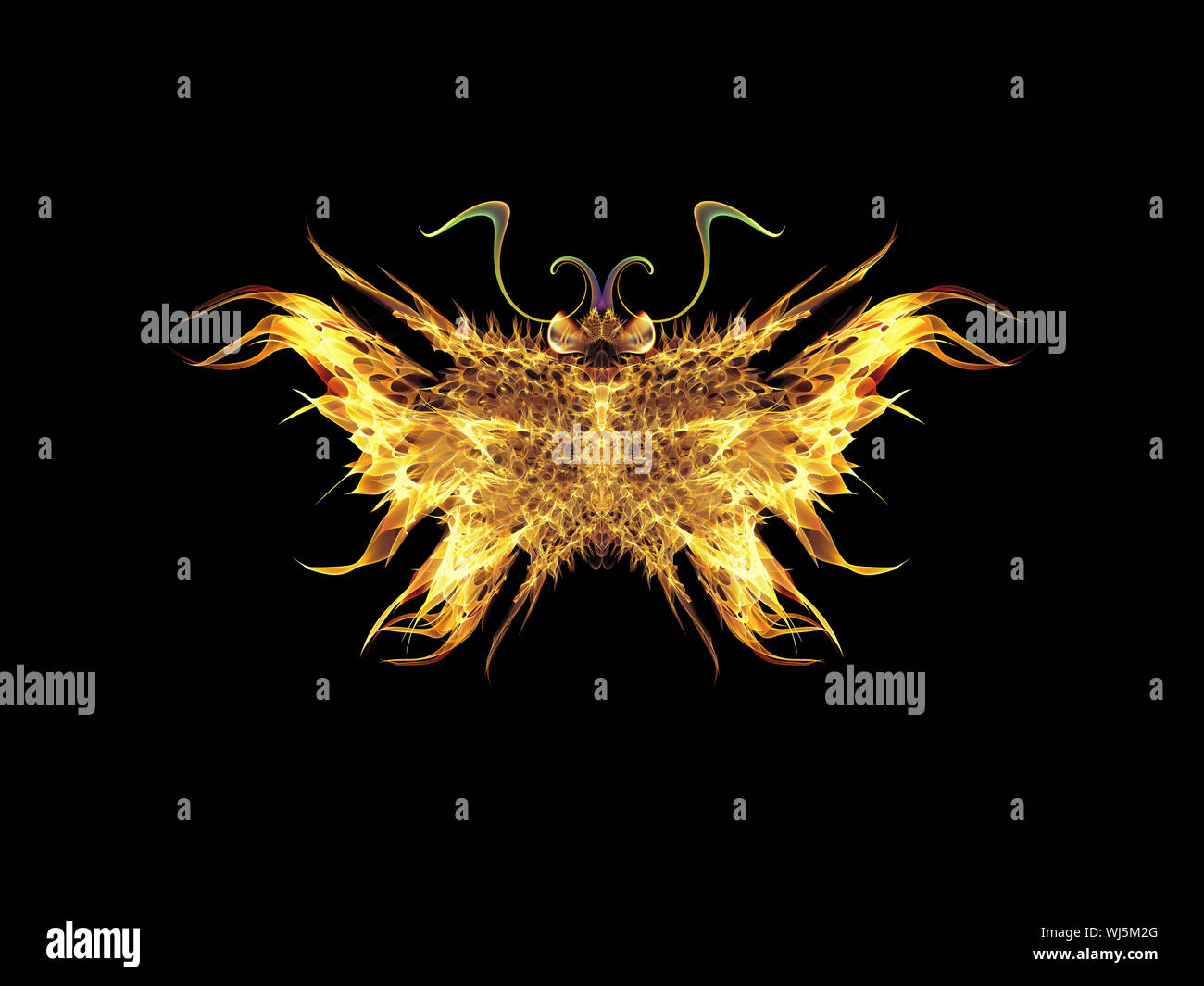 Never Were Butterflies series. Backdrop of isolated butterfly patterns ...