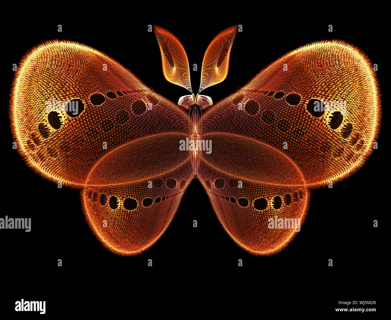 Never Were Butterflies series. Graphic composition of isolated ...