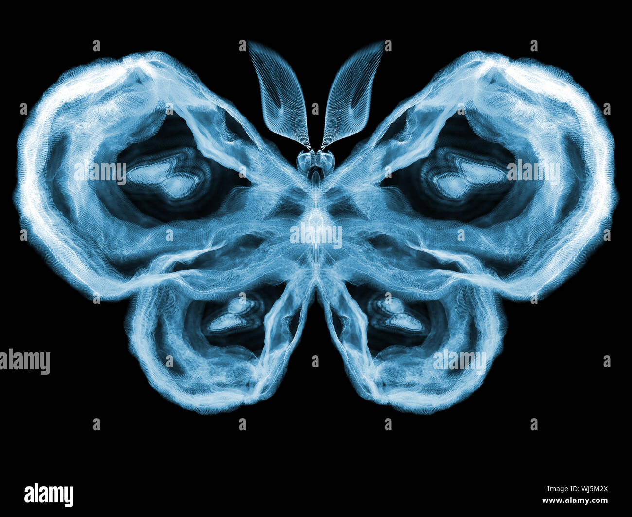 Never Were Butterflies series. Graphic composition of isolated ...