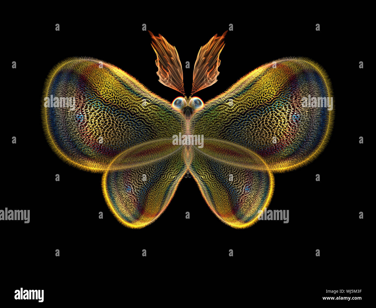 Never Were Butterflies series. Visually pleasing composition of ...