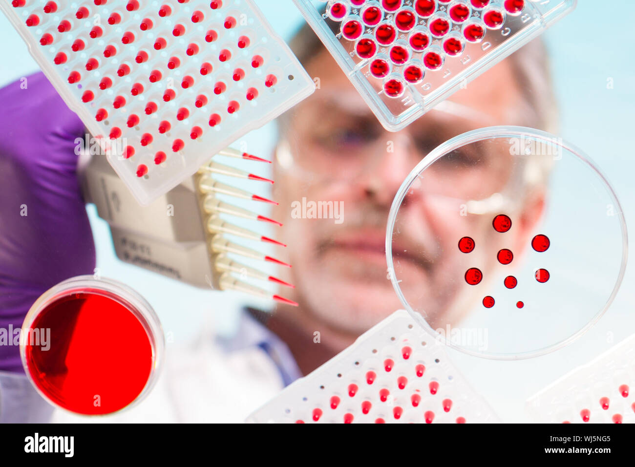 Life science research Stock Photo - Alamy