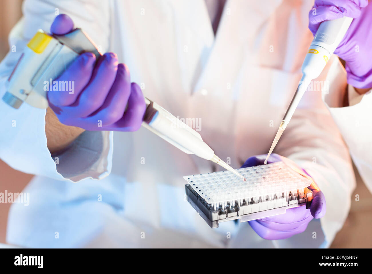 Life science professionals pipetting master mix solution into the PCR ...