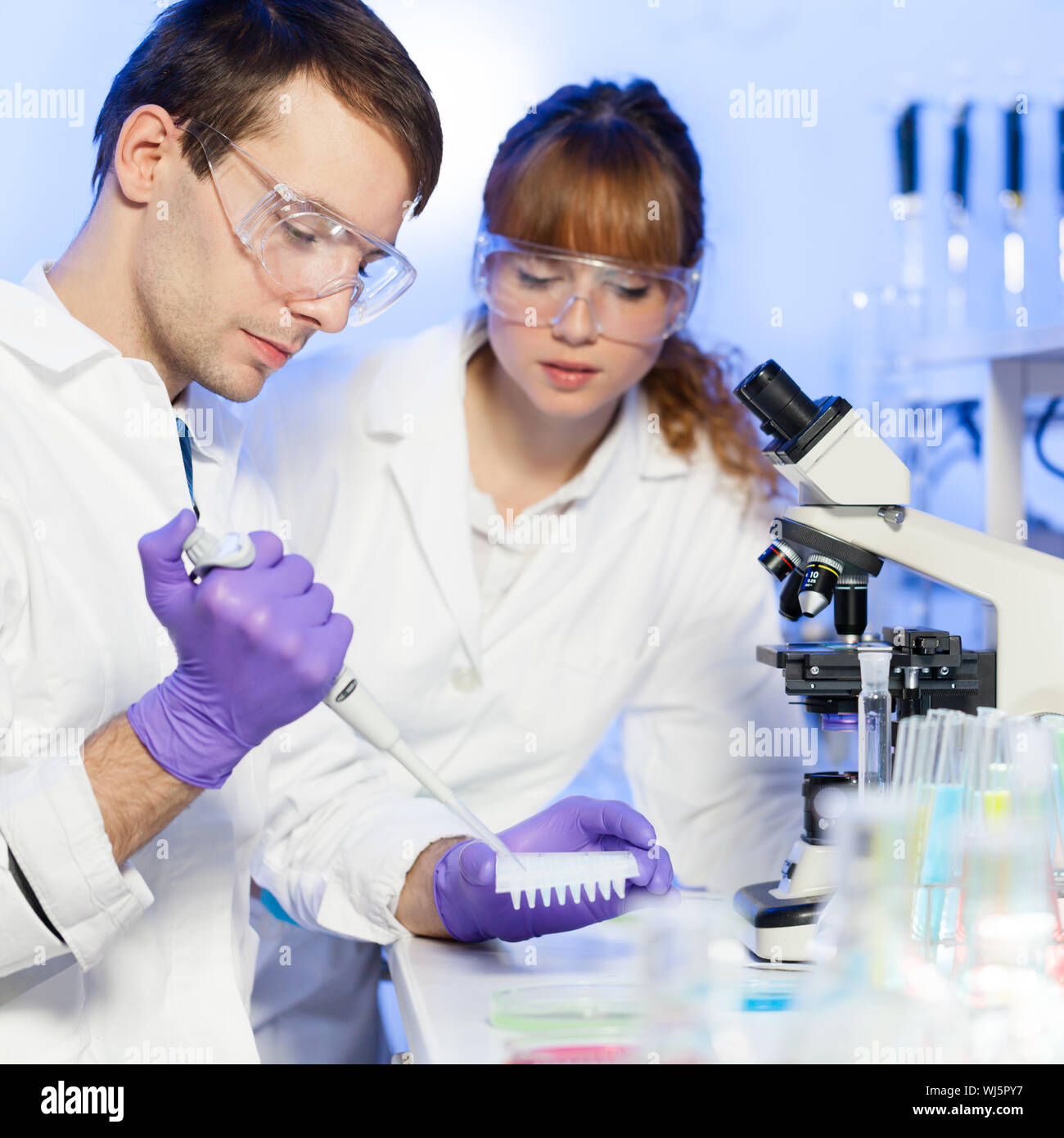 Young male researcher pipetting liquid in the 96 well microplate in the ...