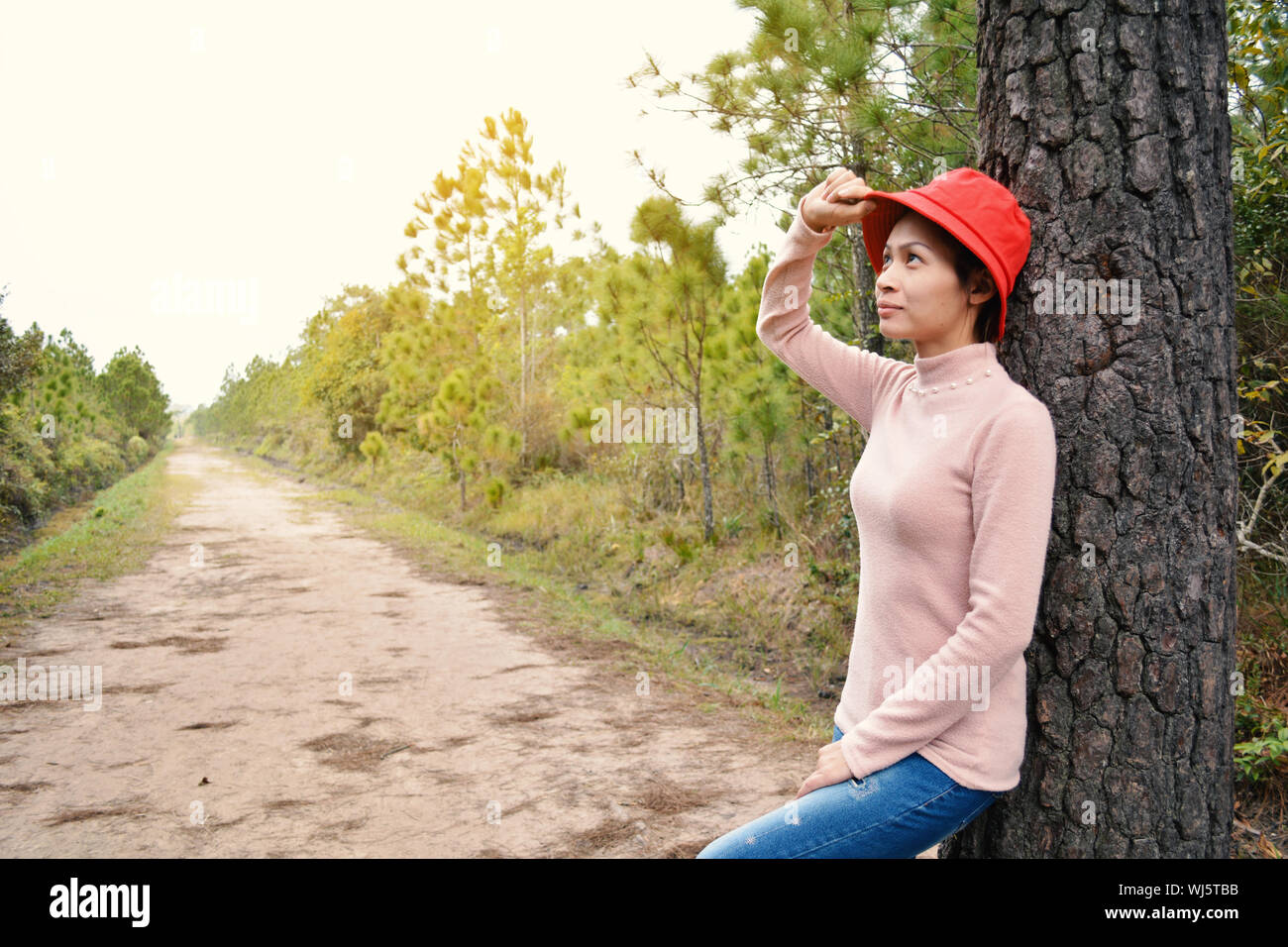 Leaning tree hi-res stock photography and images - Alamy