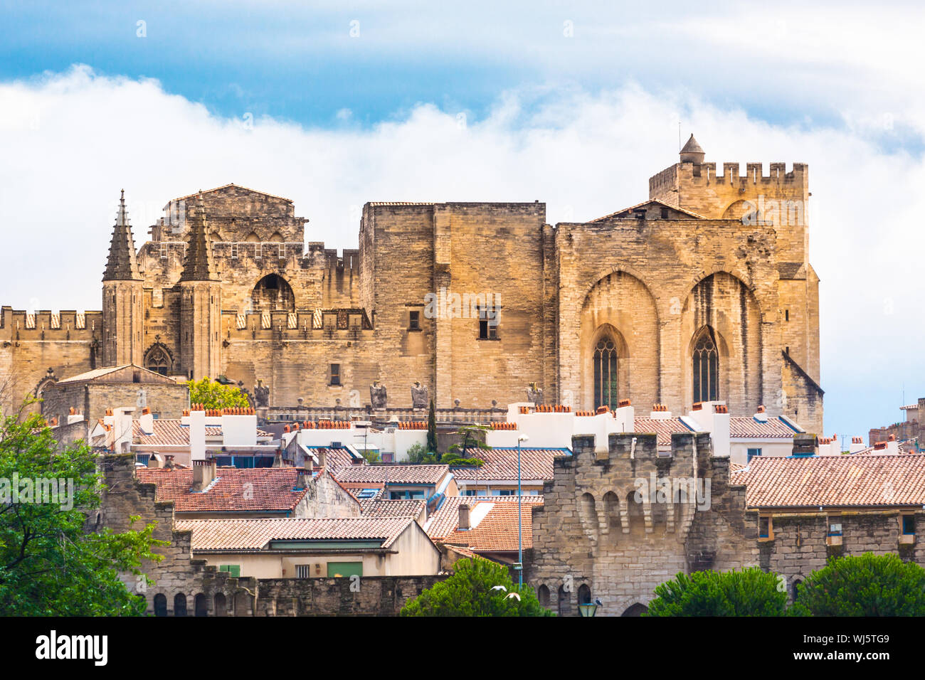 Important medieval city of Avignon, situated on the left bank of the ...