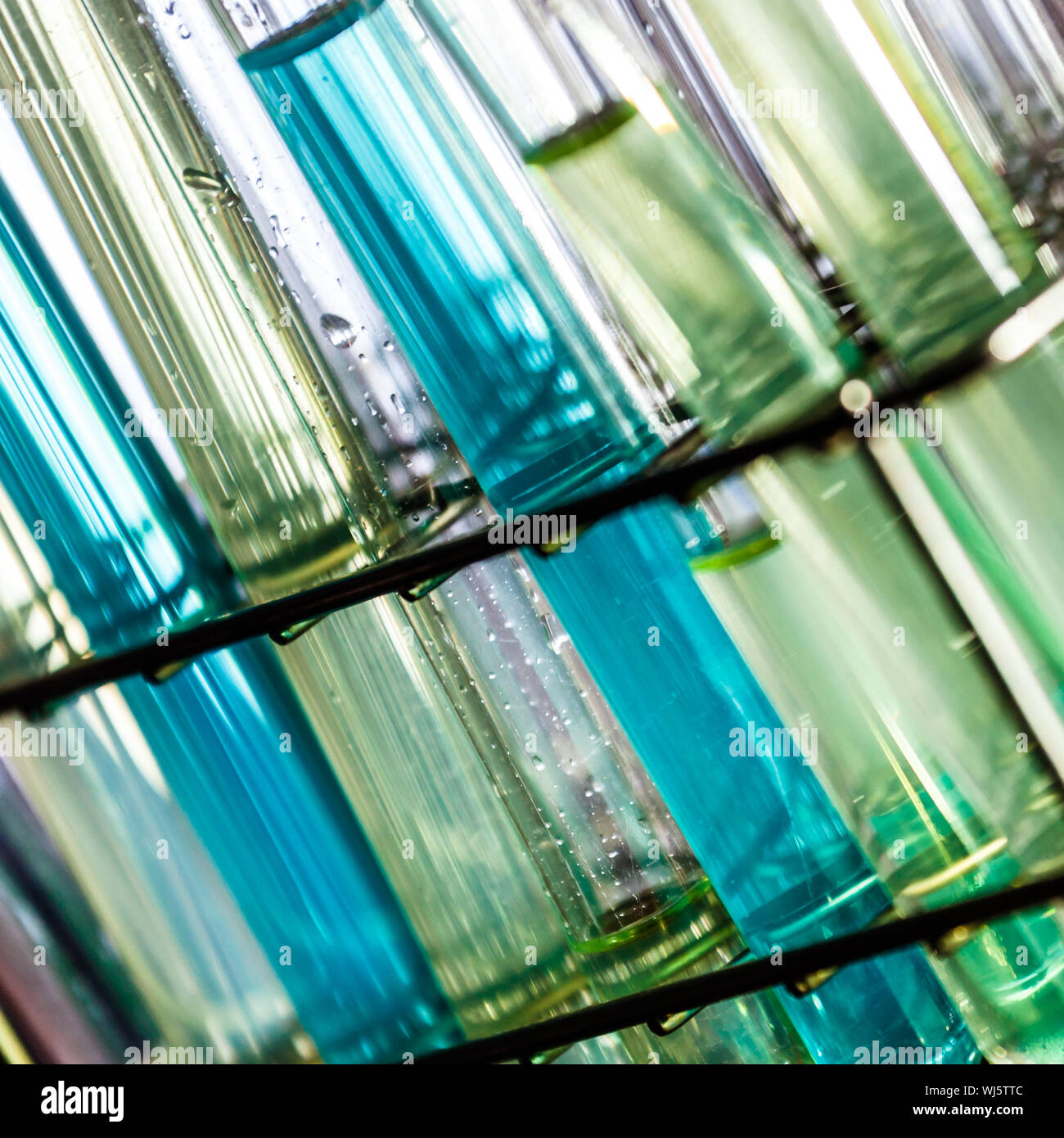 Laboratory glass test tubes filled with liquid chemical on a rack for ...