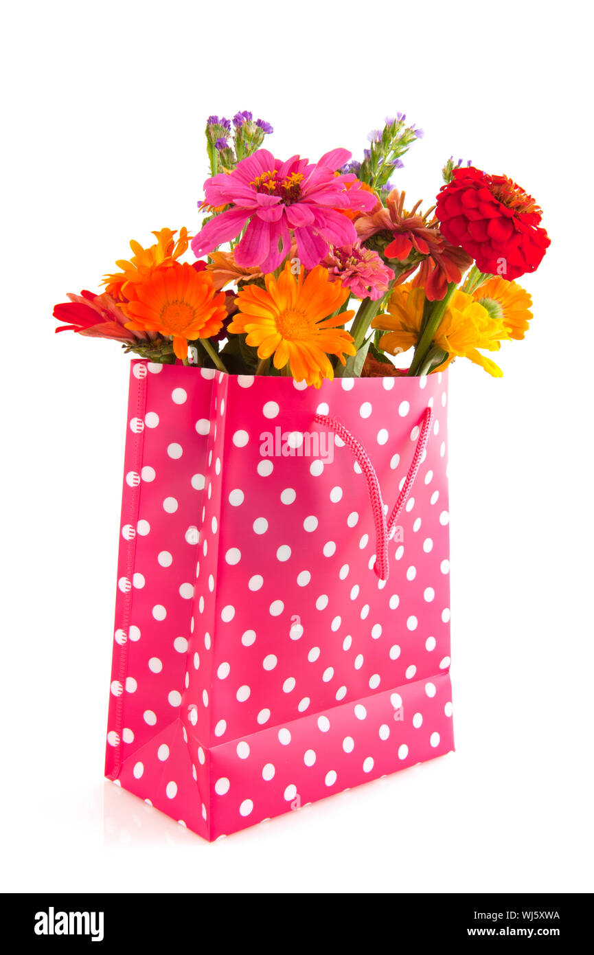 Dotted bag hi-res stock photography and images - Alamy