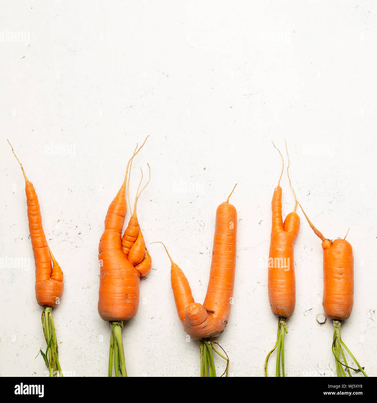 Ugly carrots on a white cracked surface. Ugly food concept, top view ...