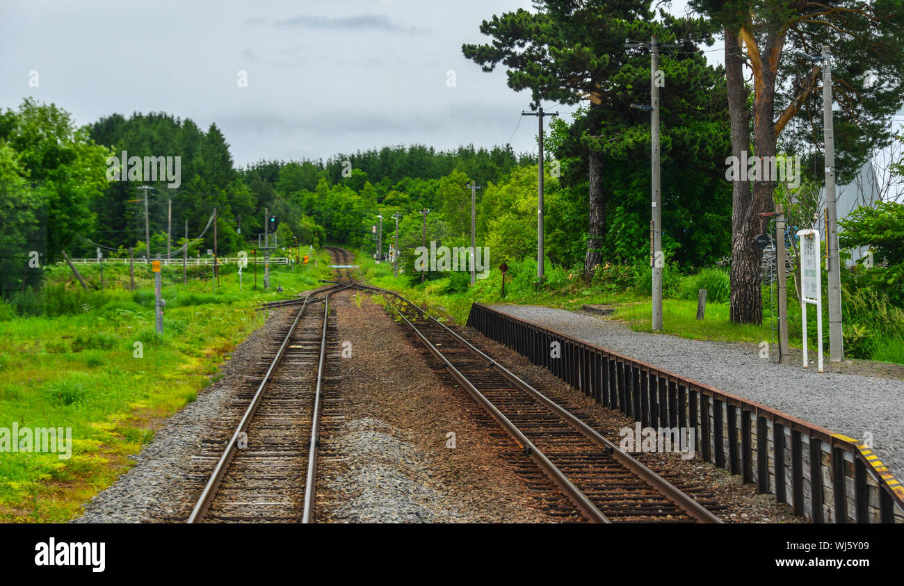 Empty tramway rail tracks with green trees around in Hokkaido, Japan ...