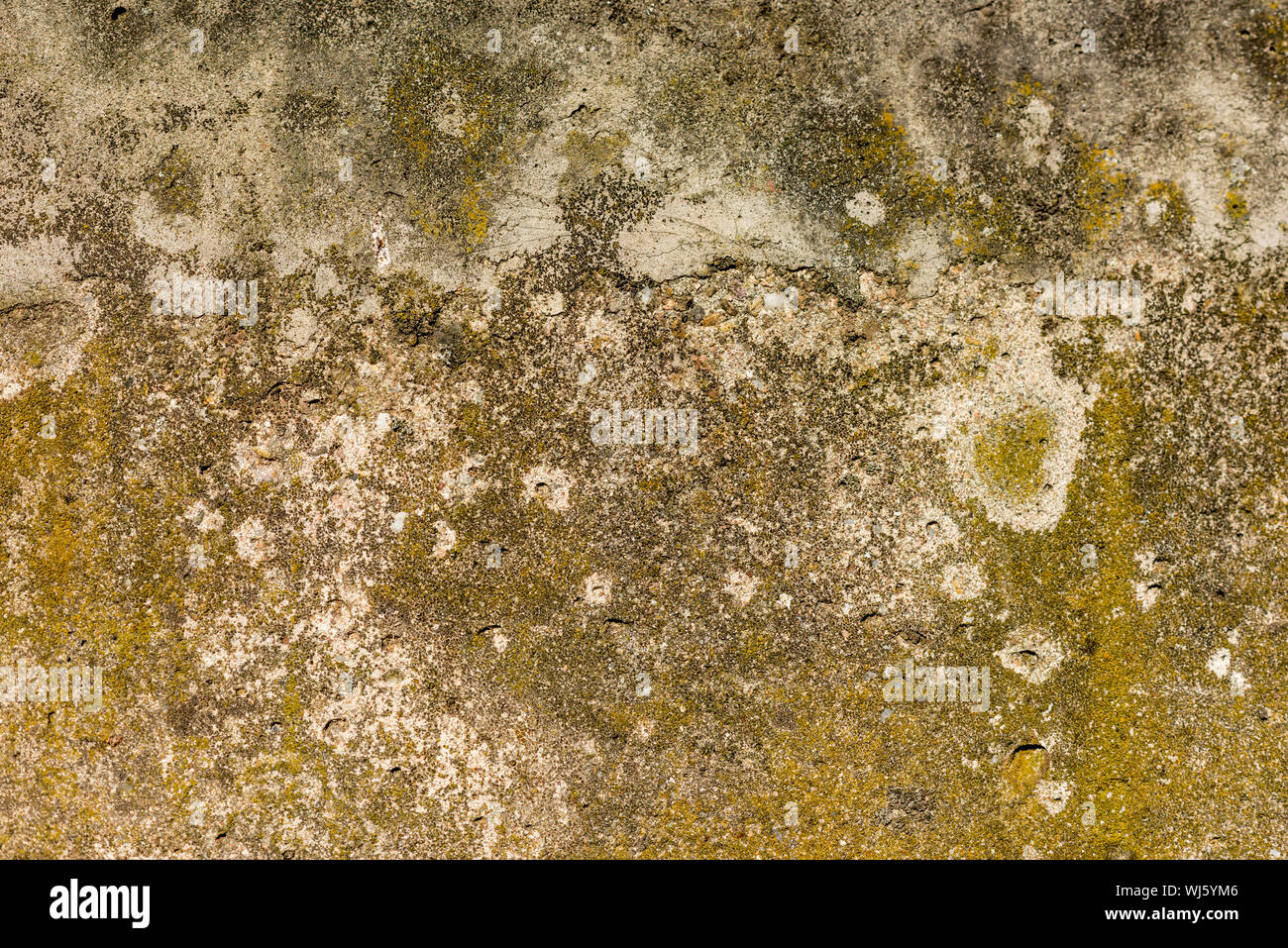 Even sandstone rocks with moss and lichen overgrown as background Stock ...