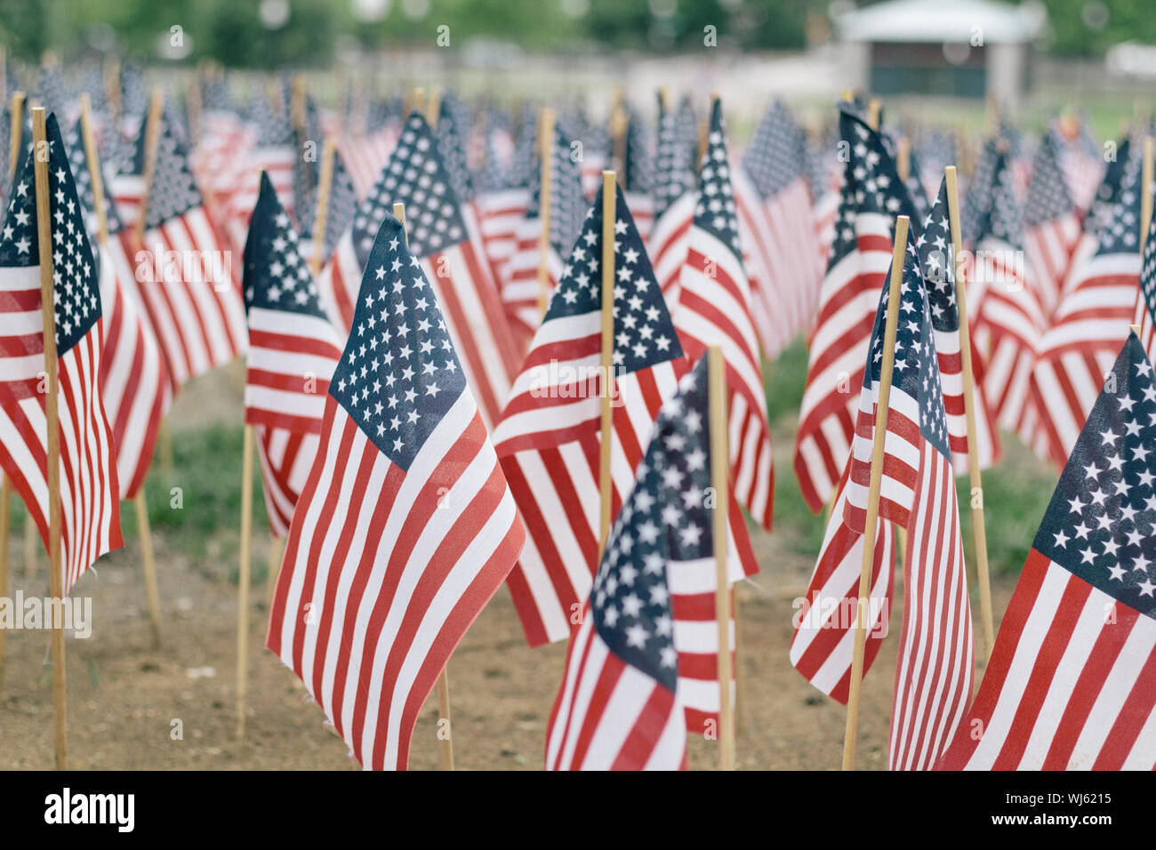 Flags row hi-res stock photography and images - Alamy