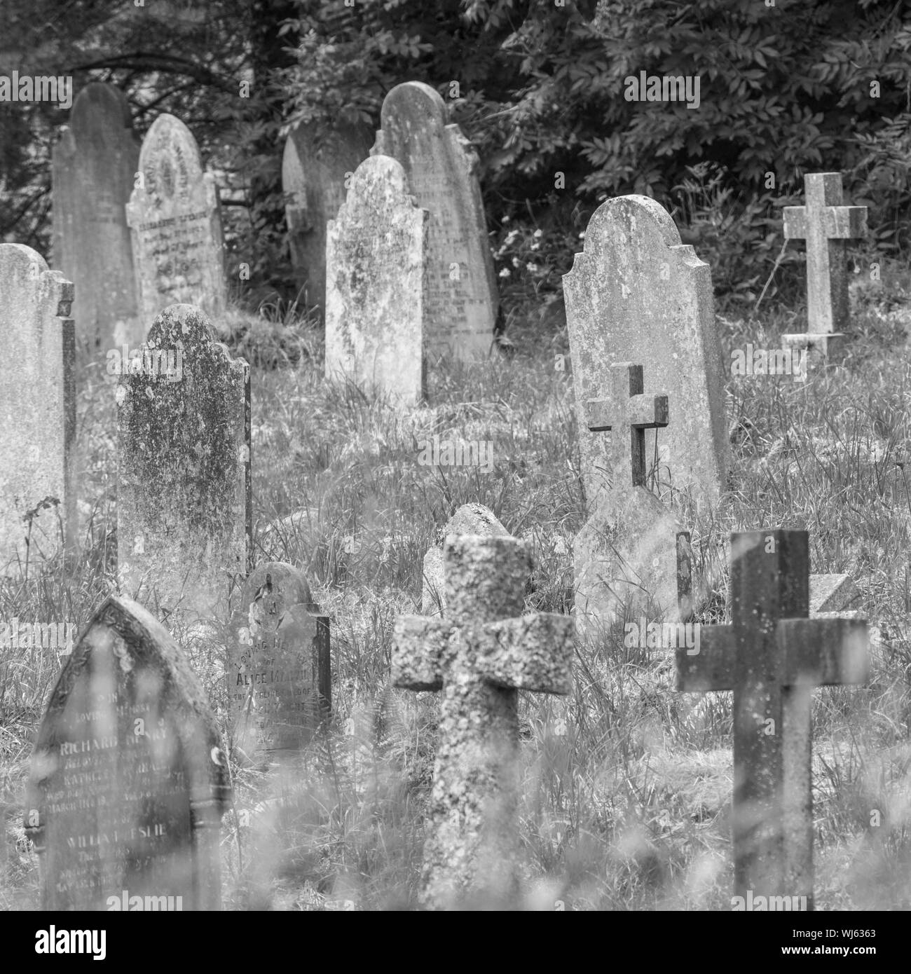 Forgotten corner of a churchyard / graveyard. Metaphor life after death ...