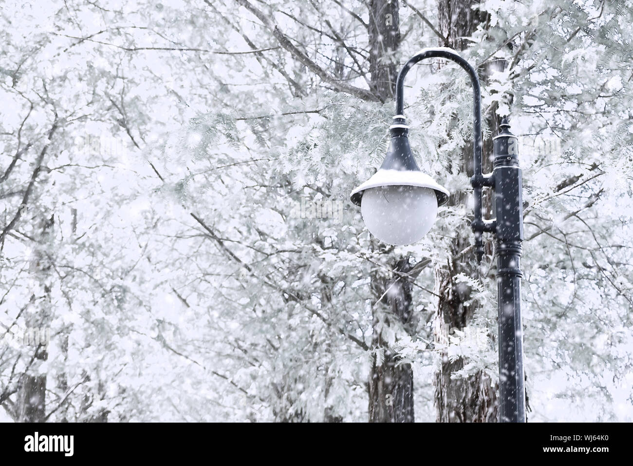 Decorative street lamp post trees in hi-res stock photography and ...