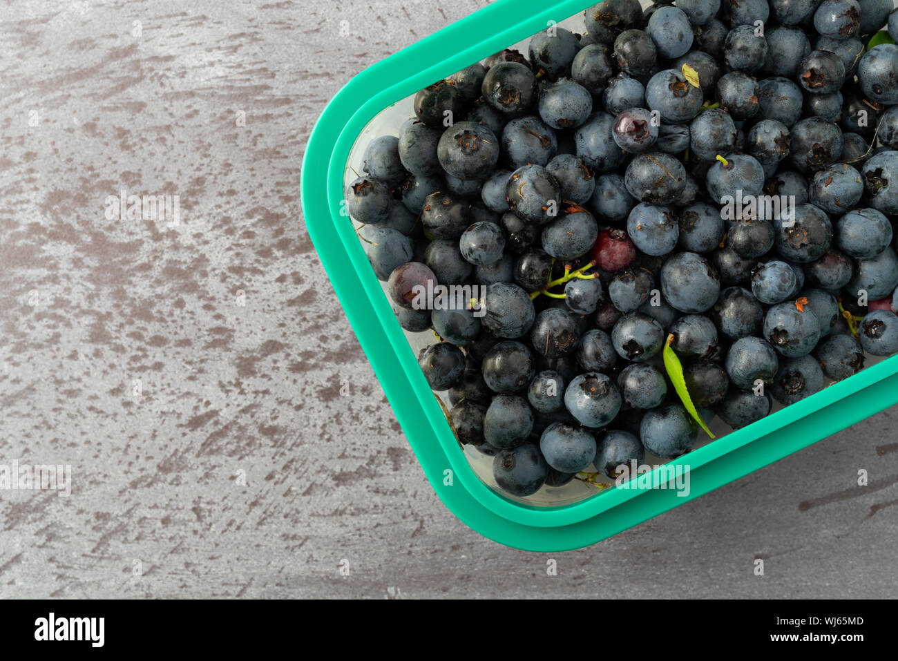 Top close view of a plastic container of freshly picked wild ...