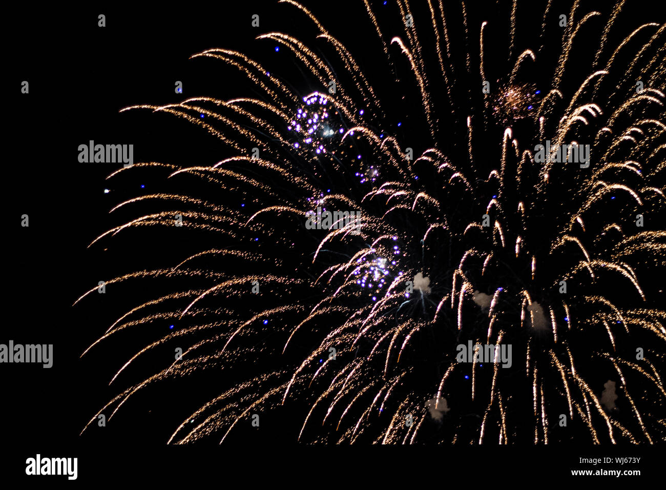 Salute, fireworks in the night sky. Pyrotechnic show on a holiday ...